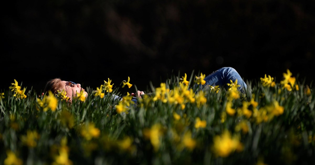 Ποδαρικό του Μάρτη με ήλιο | Ελλάδα Ειδήσεις